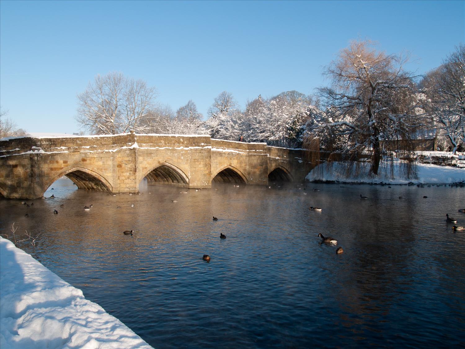 Home [riverside-cottages.co.uk]